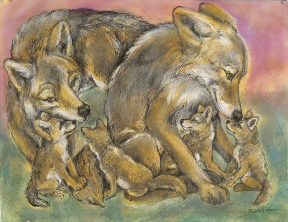 COYOTE FOR ALL SEASONS | L/A Arts
